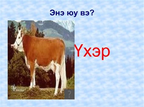 Байгалийн дуу чимээ Odp