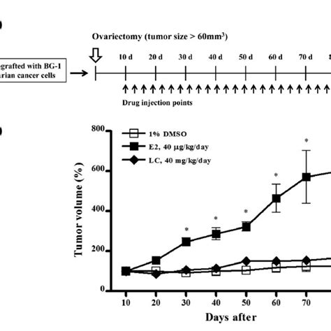Chemical Structure Of Two Synthetic Pyrethroid Insecticides Download Scientific Diagram