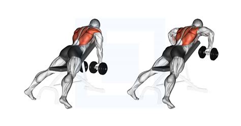 Cable Kneeling One Arm Lat Pulldown Guide Benefits And Form