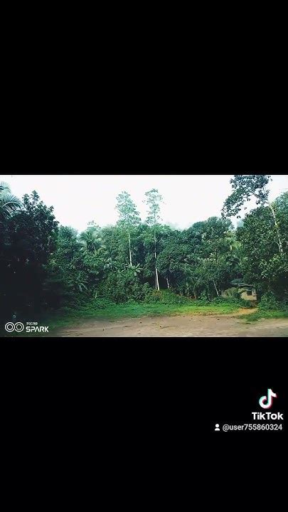 ලෝකය ජයගන්න වෙර දරන දරුවන් Youtube