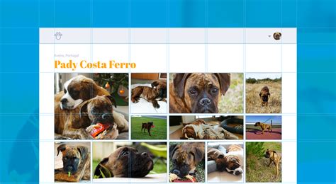 Css Grid — Responsive Layouts And Components By Rafaela Ferro Deemaze Writing Wall Medium