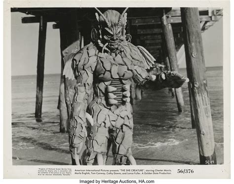 Horror And Sci Fi 50 Photographs From 1950s And 60s Films Lot