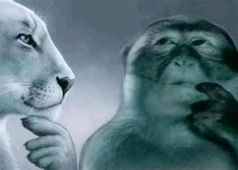 Monkeh Think Animal Memes Monkeys Funny Funny Monkey Pictures