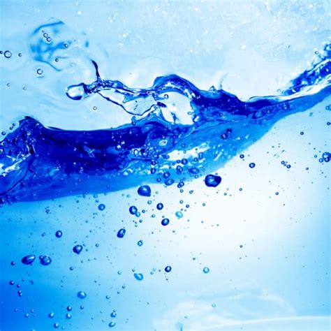 ნედლეული ლუდსახარშისთვის ჩვენს ასორტიმენტში შედის ალაო საფუარი სვია და სხვა შემადგენელი