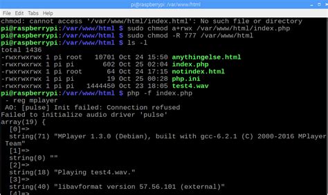 Mplayer Wont Play The Sound From An Audio File When Called From A Php