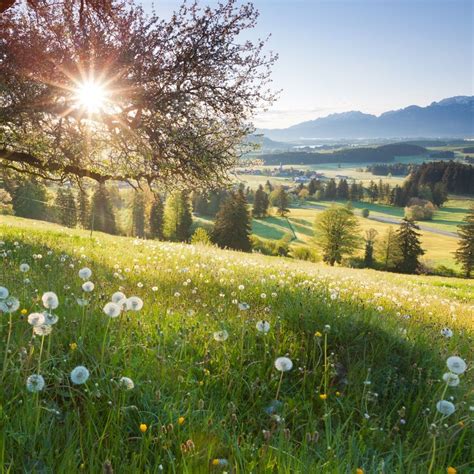 Philipp M Staniszewski Posted On Linkedin