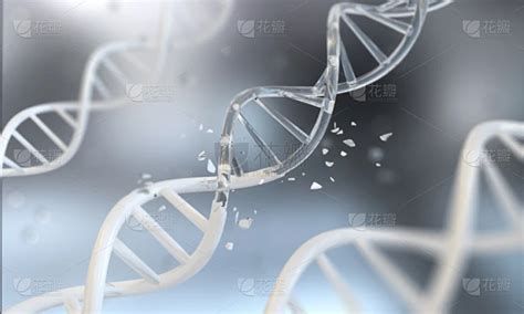 概念 脱氧核糖核酸 螺旋 数字化显示 未来 新的 细胞核 生物科技 水平画幅 癌症素材 花瓣网