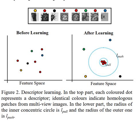 Machine Learning Is Siamese Network Rotation Invariant Data