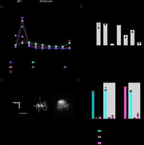 Figure Supplement 1 Additional Data For Chromosome Clustering 571 A Download Scientific