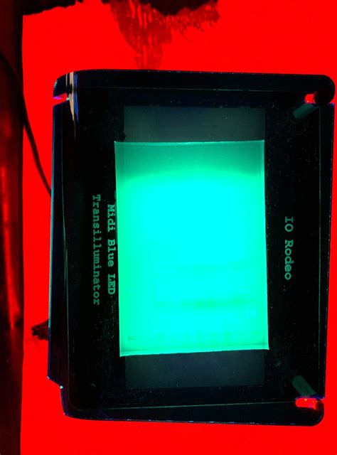 SOLVED Analyze Your Results Your Analysis Must Include The Picture Of The Gel Clearly Label