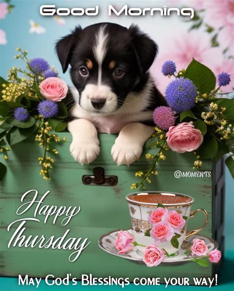 Good Morning Happy Thursday With Cute Puppy Pictures Photos And