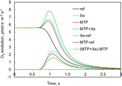 Example Of O2 Evolution Measurements A Leaf Was In Steady State Under Download Scientific