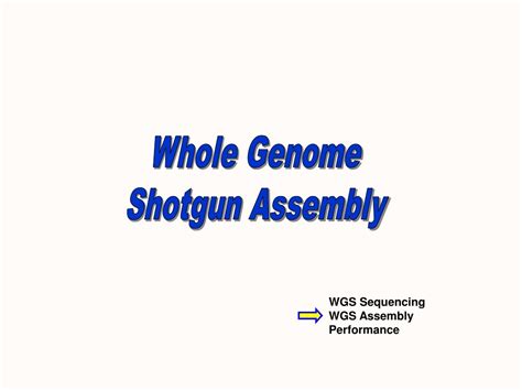 Ppt Celera Assembler Powerpoint Presentation Free Download Id9197769