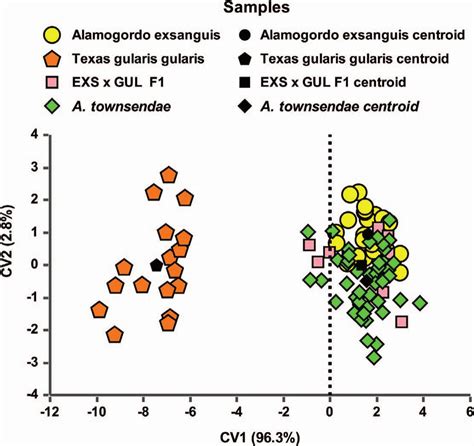 Reticulate Phylogeny A New Tetraploid Parthenogenetic Whiptail Lizard Derived From