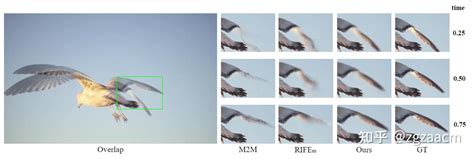 Cvpr 2023 Ema Vfi 基于帧间注意力提取运动和外观信息的高效视频插帧 知乎