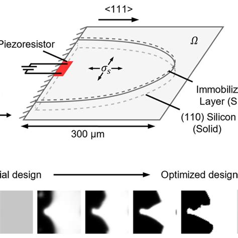 A Schematic Of The Topology Optimization Model A The Geometry Of The