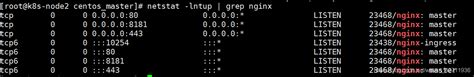 k8s ingress nginx 外部负载均衡器搭建 kubernetes 鱼游悠悠 k8s kubernetes