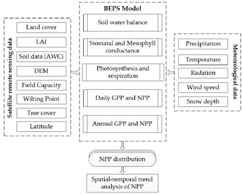 The Framework Of The Boreal Ecosystem Productivity Simulator Beps