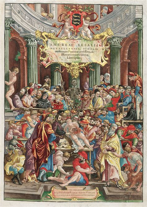 Dipendo Vesalio El Estudio Del Cuerpo Humano En El Renacimiento