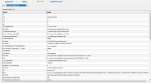 Using And Debugging Environment Variables Software Verify