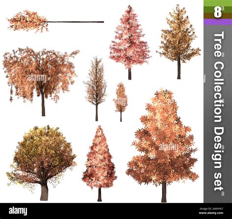 Tree Correction Design Set 3d Illustration White Background Isolate