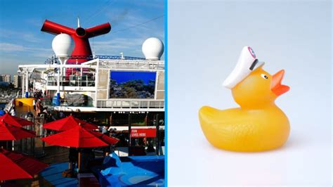 Not Everyone Is Happy About Cruising Ducks On Carnival