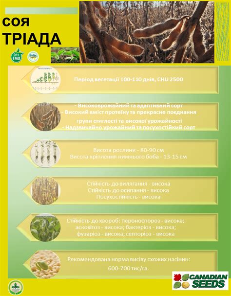 Соя Тріада Канадіан Сідс Canadianseeds