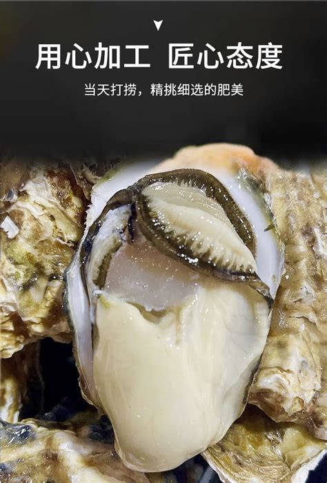 夜市摆摊乳山生蚝批发代发烧烤店整箱商用产地批发乳山特大生蚝 阿里巴巴