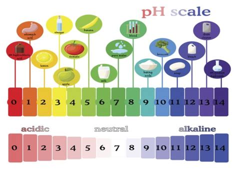 Ph Balance How An Unbalanced Ph Affects The Body