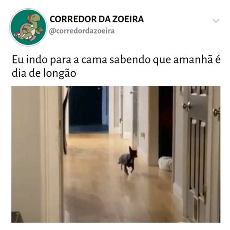 Sextou Debaixo Das Cobertas Hahaha 🏃🏃🏃 ⚠️ Siga Corredordazoeira