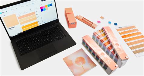 Pantone® Europe What Is Peach Fuzz