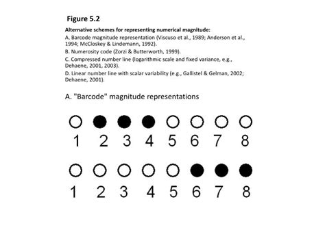 Ppt Alternative Schemes For Representing Numerical Magnitude