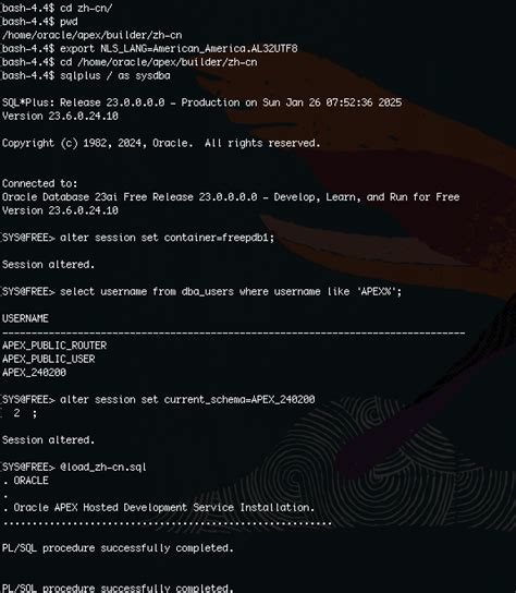 oracle install language package for apex 24 2 tips