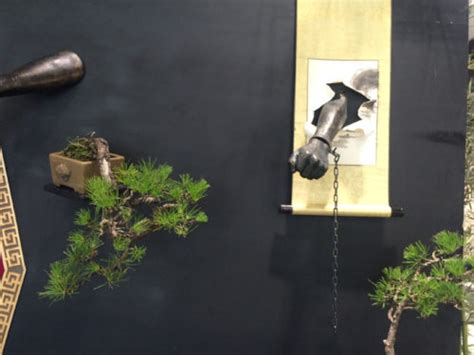 Breaking Bonsai Chains Bonsai Bark