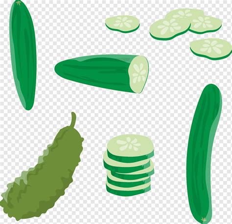 신선한 오이 아이콘 Png Pngwing