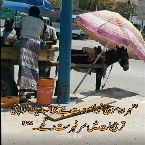 Shafa Ullah Posted On Linkedin