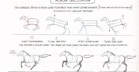 The Advanced Animation Skills Workshop The Quadruped Run Cycle Week