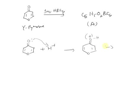 Solved When Gantma Pyrone Treated With The Strong Acid Hbf 4 It
