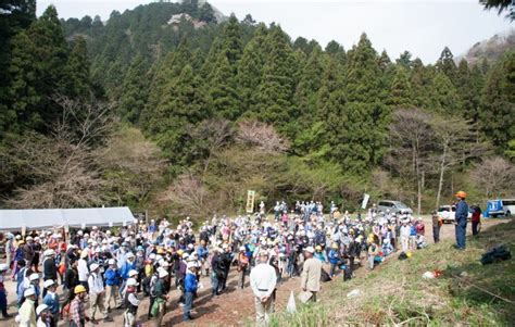 森づくり基礎知識 森ナビネット