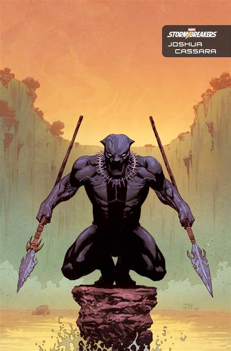 Black Panther Marvel Dc Marvel Comic