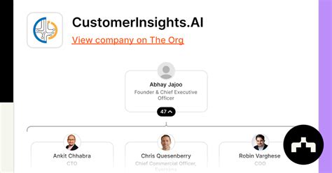 customerinsights ai the org