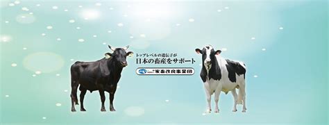 ジェネティクス北海道 🐂黒毛和種 新規検定済 種雄牛紹介🐂 Facebook