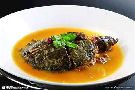 秘制生态野生甲鱼摄影图传统美食餐饮美食摄影图库昵图网