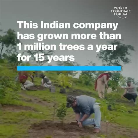 Rohit Kumar Singh On Linkedin Trilliontrees Sustainabilityrevolution