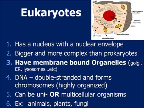Day Agenda ACT Practice Microscopes Notes Ppt Download