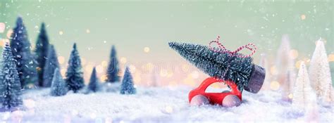 Red Car Carrying A Christmas Tree Stock Image Image Of Xmas Season 77615139