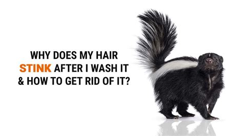 Why Does My Hair Stink After I Wash It And How To Get Rid Of It Theradome