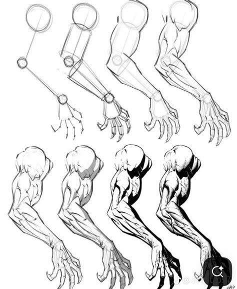 Pin By Bilal Erlangga On Proportion Study Drawing Tutorial Book