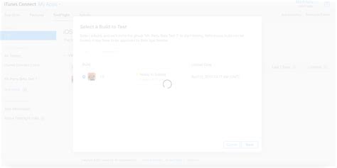 Itunes Connect Test Flight External Beta Loading Forever Stack Overflow