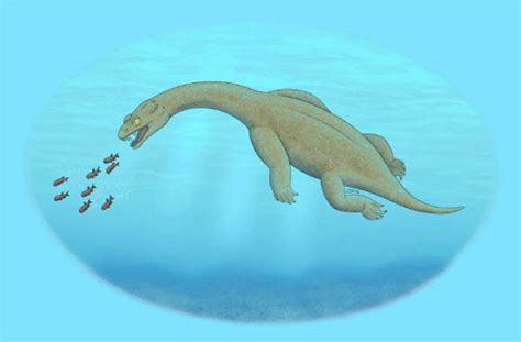 Scientists Find Two Near Complete Fossils Of Previously Unknown Marine